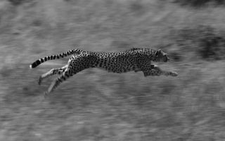 Emaar Brand Guidelines | Emaar Properties